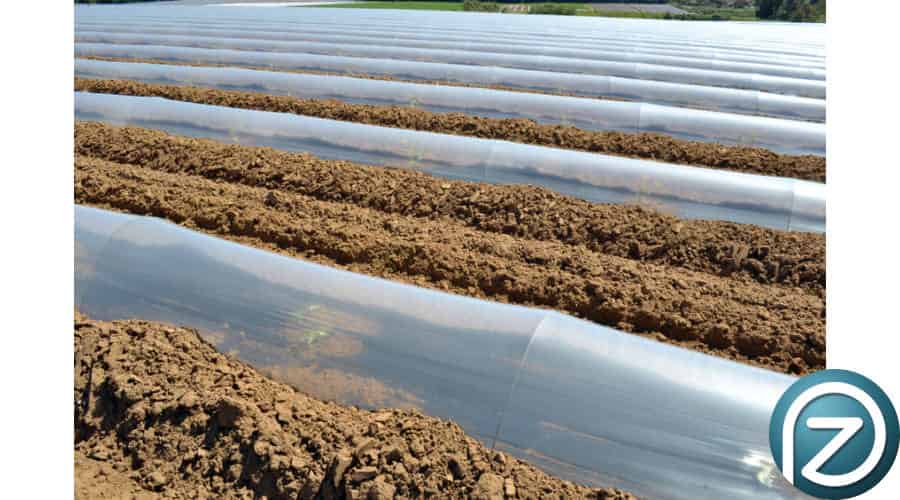 Kell a profi fóliasátor fólia a jó munkához - Sci-fi magazin